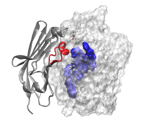 A new drug candidate in the fight against cancer! - SATT NORD